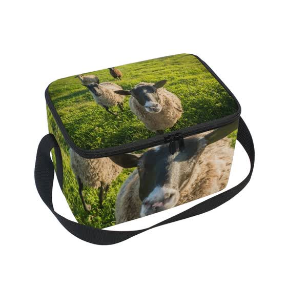 Shop ALAZA Lunch Box Insulated Farm Sheep Lunch Bag Large Cooler Tote ...